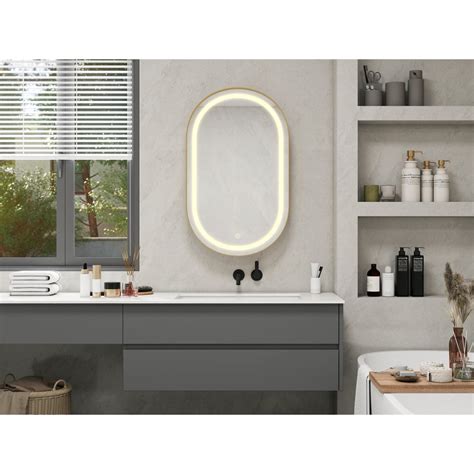Oval Medicine Cabinet Mirror With Storage And Golden Led