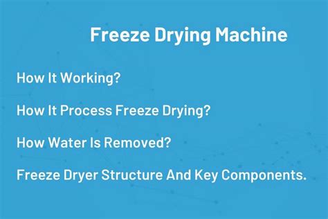 How Freeze Dryer Machine Working How It Processes Freeze Drying