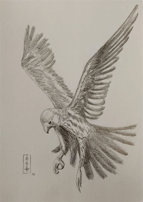 Scientific Drawing On Behance