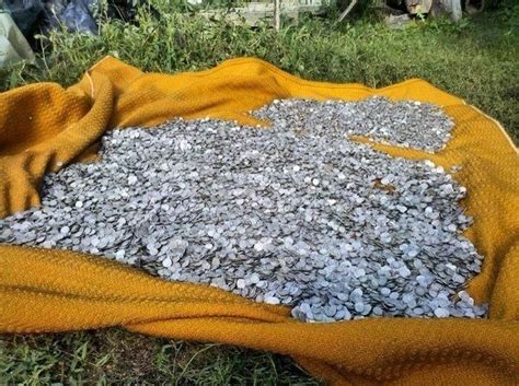 Как правильно искать серебряные чешуйки на вспаханном поле Этот