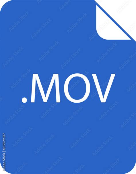 File Format Icons Set Format For Texts Images Vector Images Videos