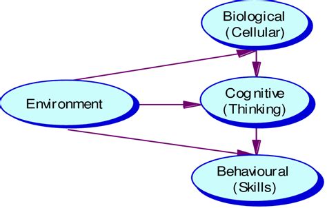A Simple Representation Of Friths Three Level Framework Download
