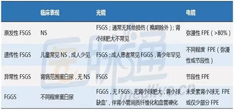 图表：原发性、继发性、遗传性fsgs如何鉴别诊断
