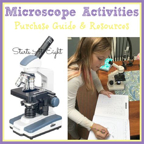 Microscope Activities Including A Purchase Guide And Resources Startsateight