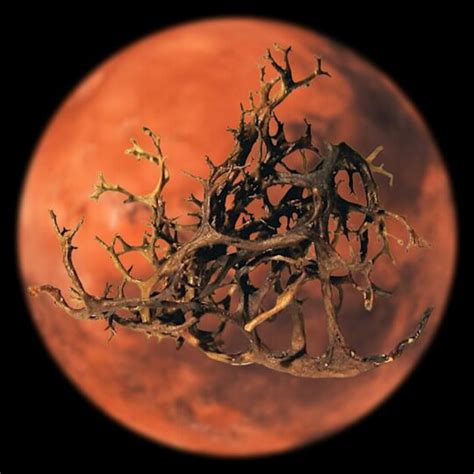 Nasas Perseverance Rover Makes Unprecedented Discovery Of Bizarre