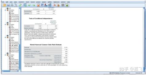 Spss Statistics 27安装与许可证激活教程 知乎