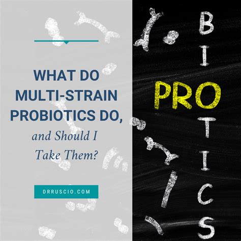 What Do Multi Strain Probiotics Do And Should I Take Them