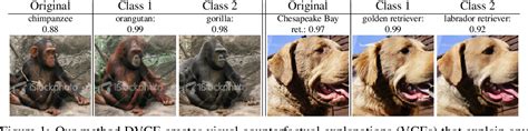 Figure 1 From Diffusion Visual Counterfactual Explanations Semantic Scholar