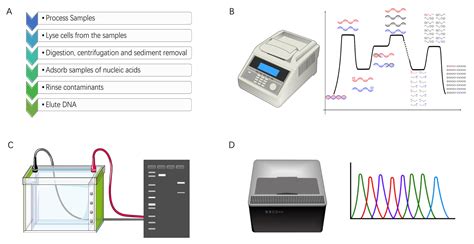 Application Of Dna Barcoding To Identify Medicinal Plants