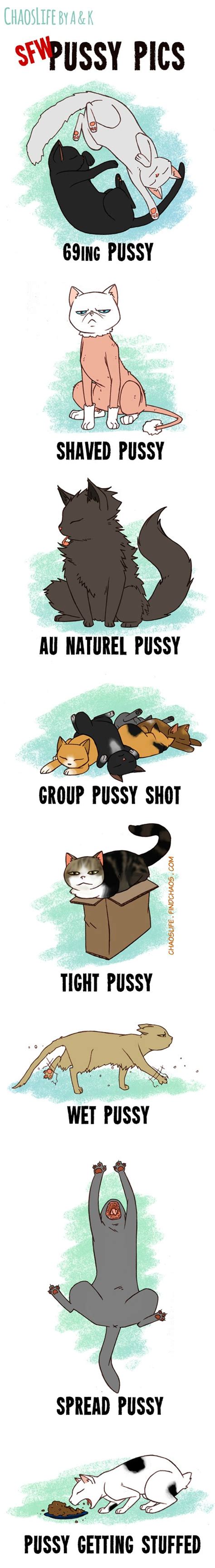 More Pussysfw Imgur