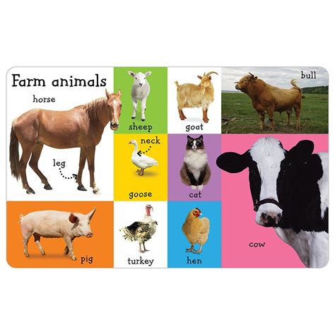 First 100 Farm Words Make Believe Ideas Us