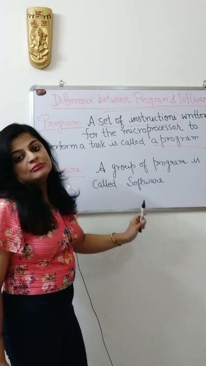 Difference Between Program And Software Program Vs Software Shorts