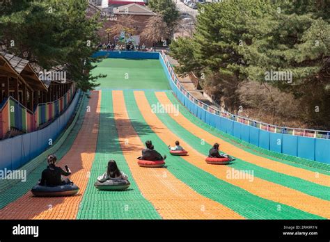 Grass Skating Field Grass Skiing At Busan Horse Racerack South Korea