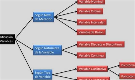 ¿qué Es Una Variable Dicotómica Definición Y Concepto