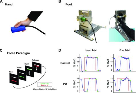 Experimental Setup And Paradigm A Hand Force Device That Measured