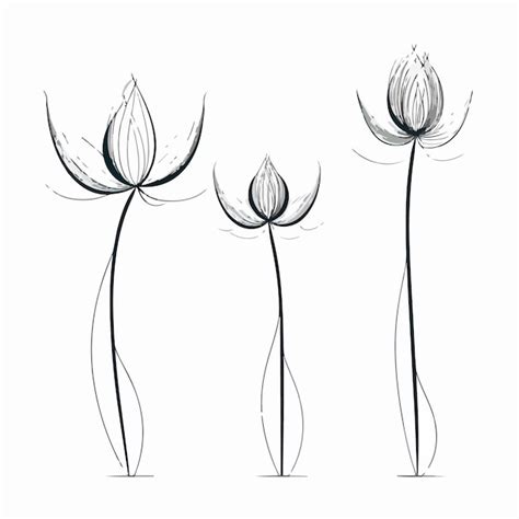 Premium Vector Minimalistic Popy Illustration With A Clean And Simple