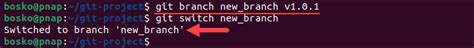 How To Create A New Branch In Git 7 Methods