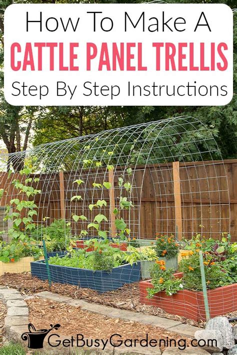 Cattle Panel Trellis DIY How To Make An Arch Tunnel For Your Garden
