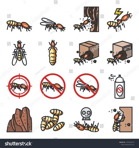 Termite Life Cycle Time Mariela Felton