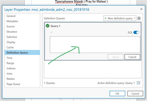 page query issue in arcgis pro 2 2 4 esri community