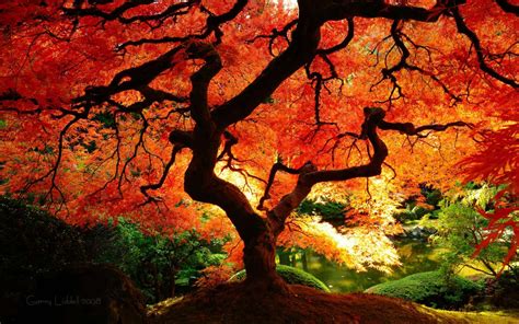 Autumnal Equinox Wallpapers