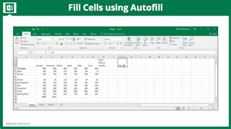 Fill Cells Using Autofill Freshskills