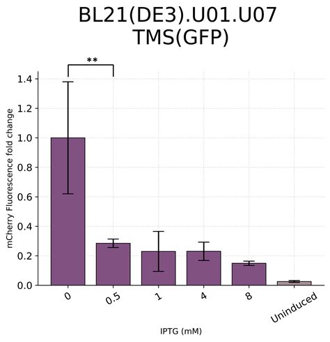 Fluoroloop Dtu Denmark