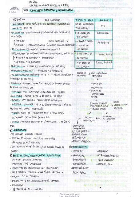 Resúmenes De Tbc Extrapulmonar Descarga Apuntes De Tbc Extrapulmonar