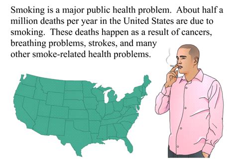 Smoking The Facts
