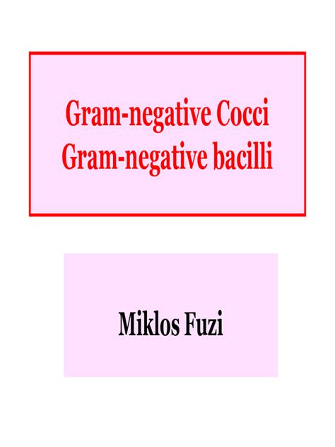 Gram Negative Coccus Pdf Meningitis Medical Specialties
