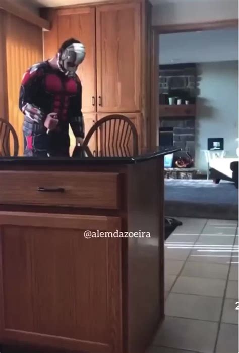 Best Ant Man Cosplay Ever Album On Imgur