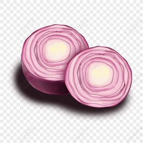 얇게 썬 신선한 양파 심장의 현실적인 손 일러스트 그리기부분자홍색 Png 일러스트 무료 다운로드 Lovepik