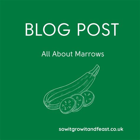 Guide To Growing Marrows From Seed To Harvest