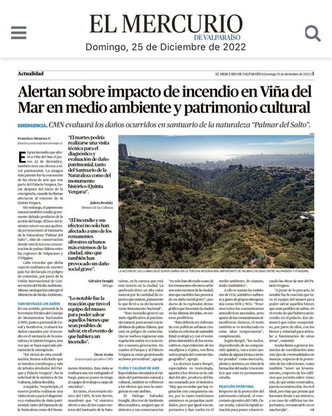 Alertan Sobre Impacto De Incendio En Viña Del Mar En Medio Ambiente Y