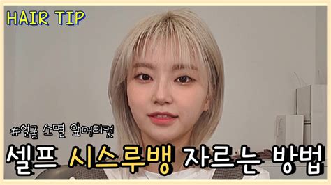 다솔뷰티 헤어디자이너가 알려주는 셀프 앞머리컷 사이드뱅💛 Youtube