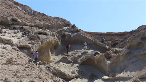Megalodon And Other Extinct Giant Sharks Started Life In Nurseries