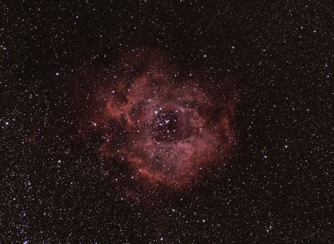 Rosette Nebula Telescope Live