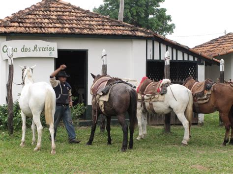 Minhas SequÊncias Dicas De Viagem Mato Grosso Do Sul Pantanal