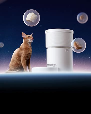Pet Supplies PETLIBRO Automatic Cat Feeder Wet Food Dispenser