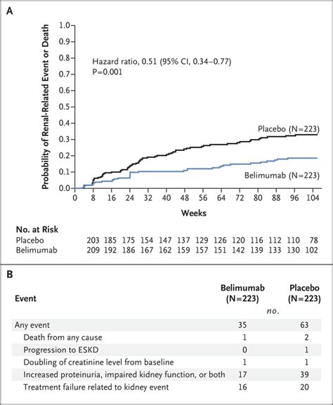 王介立醫師 B Cell Activating Factor Baff 為dendritic