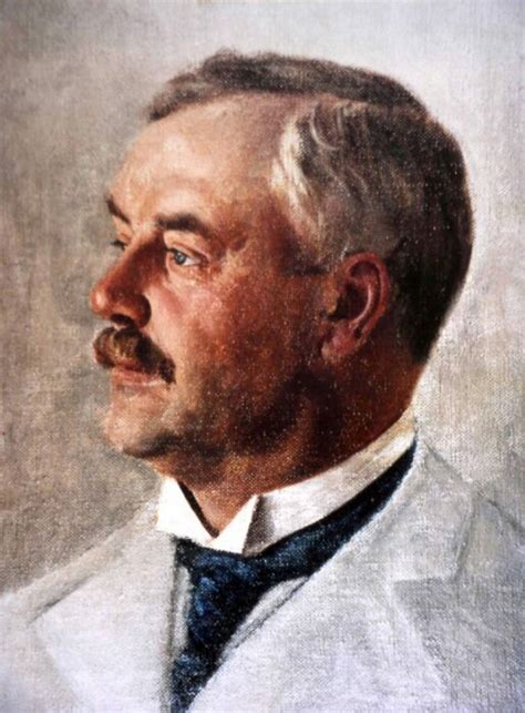 Южнорусская овчарка собака которая подвергалась уничтожению за свою преданность