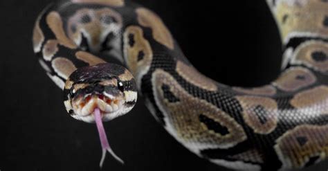 10 Common Security Gotchas In Python And How To Avoid Them Hackernoon