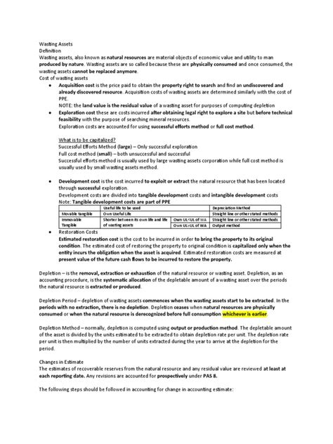 Wasting Assets Pdf Cost Business Economics