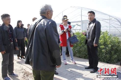 新洋实验学校招聘新洋实验学校附近 随意云
