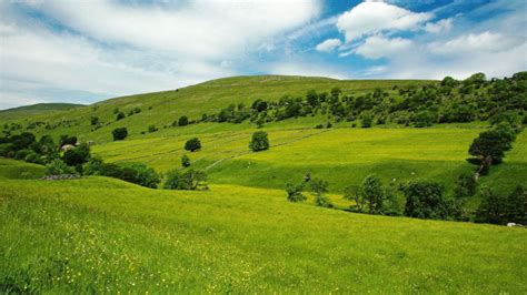 Grass Field Wallpaper 1920x1080 56687 Baltana