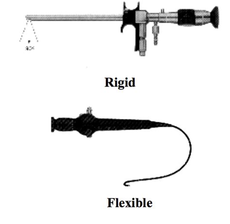 1 2 Endoscopic Tour Of The Gi Flashcards Quizlet