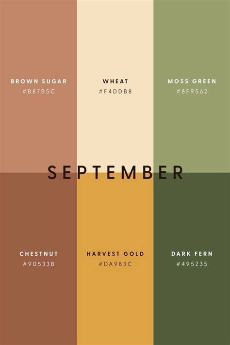 September In 2024 Color Design Inspiration Hex Color Palette Color
