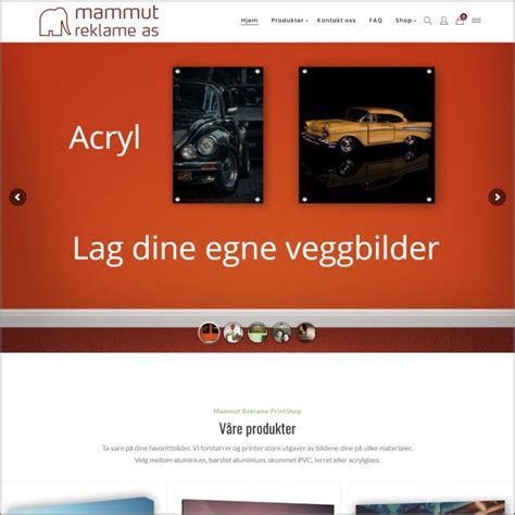 Nettsider Eksempler Webzeebakke Konsulenttjenester