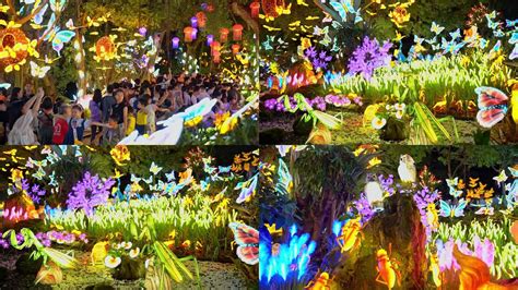 南宁青秀山夜花园昆虫世界热闹人流7 视频素材下载