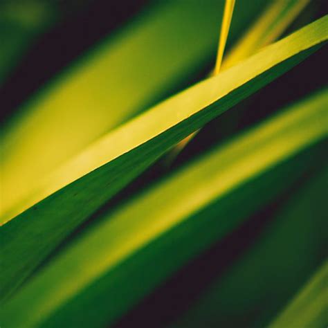 Consonant Chords By Insolitus Fotografie On Canvas Poster Wallpaper